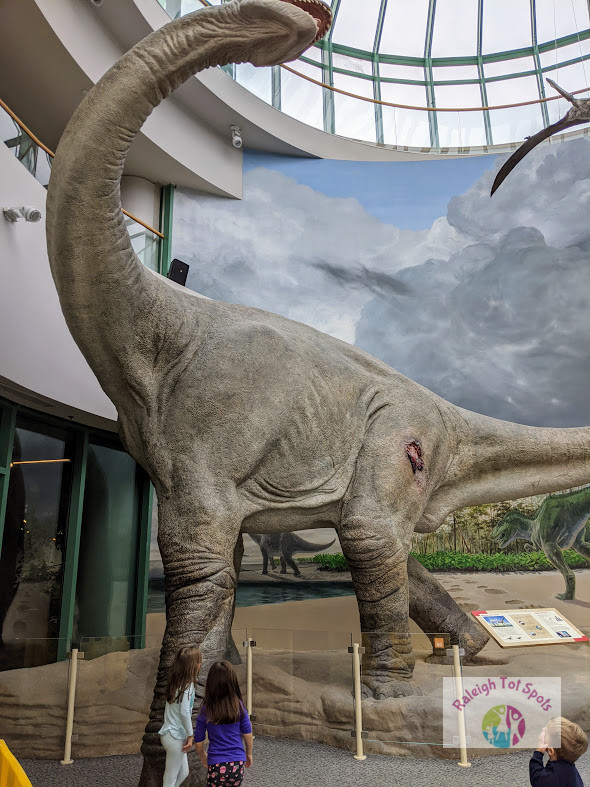 A Review of the NC Museum of Natural Sciences - Raleigh Tot Spots