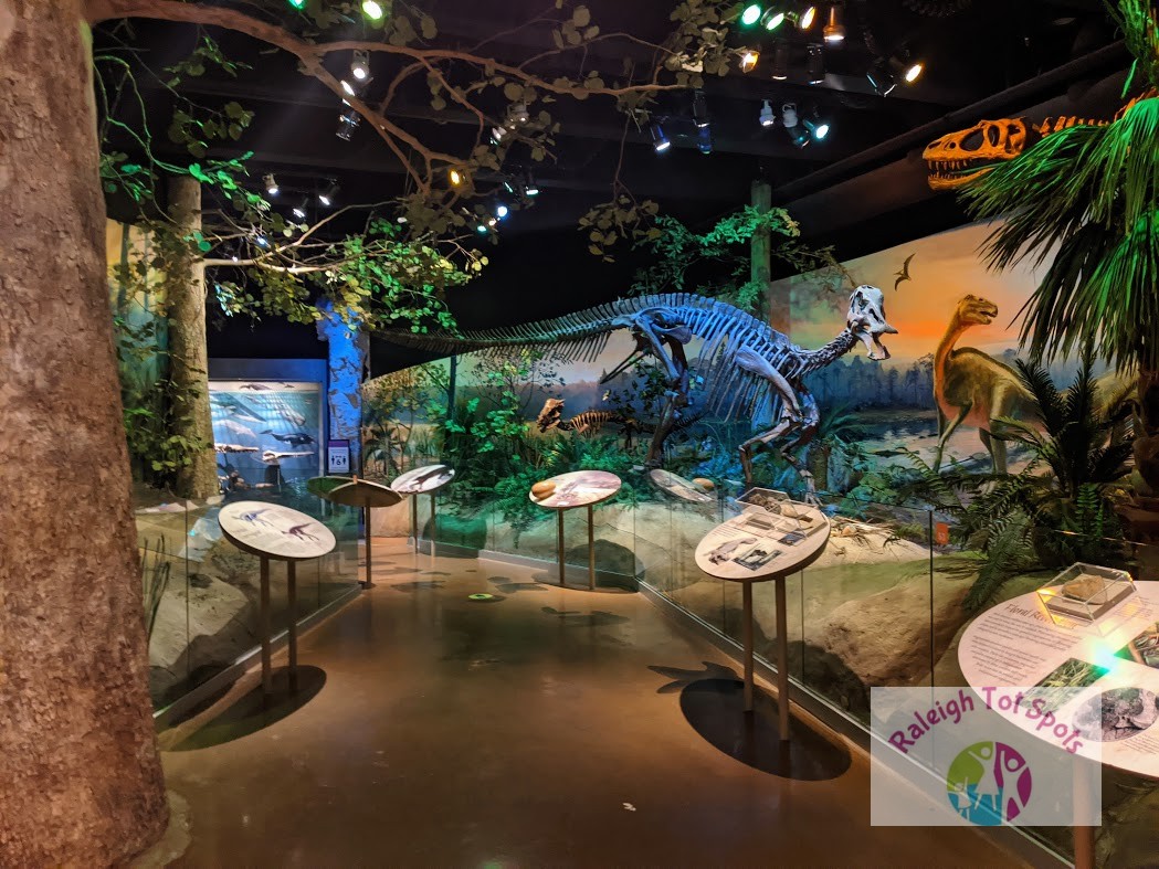 A Review of the NC Museum of Natural Sciences - Raleigh Tot Spots