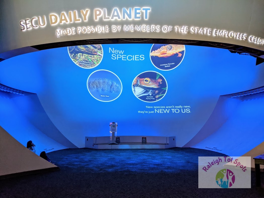 A Review of the NC Museum of Natural Sciences - Raleigh Tot Spots